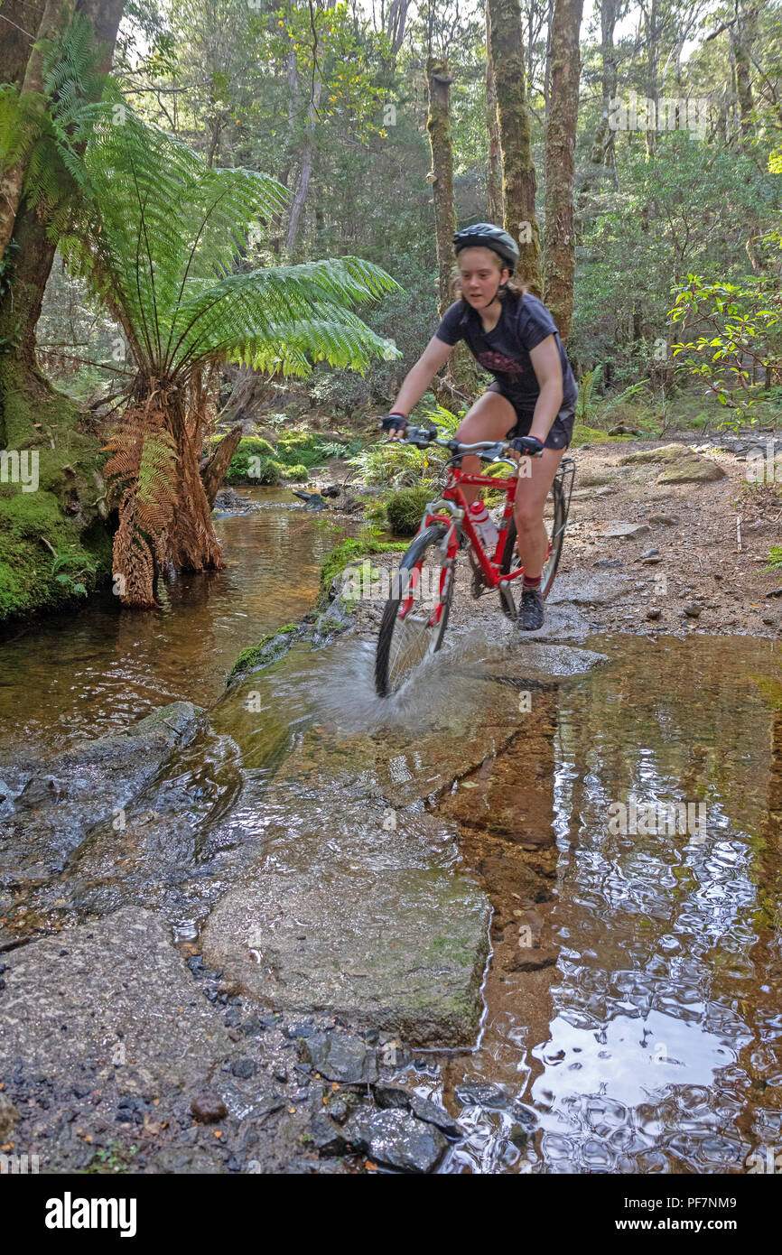 Girl cycling on the Blue Tier trail at Blue Derby Stock Photo - Alamy