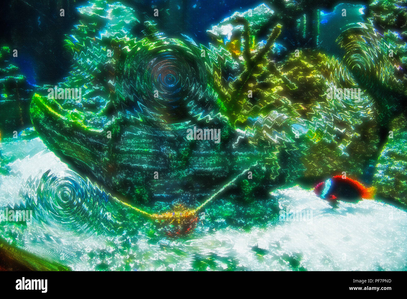 Original photograph, taken in the fish aquarium section of a local pet ...