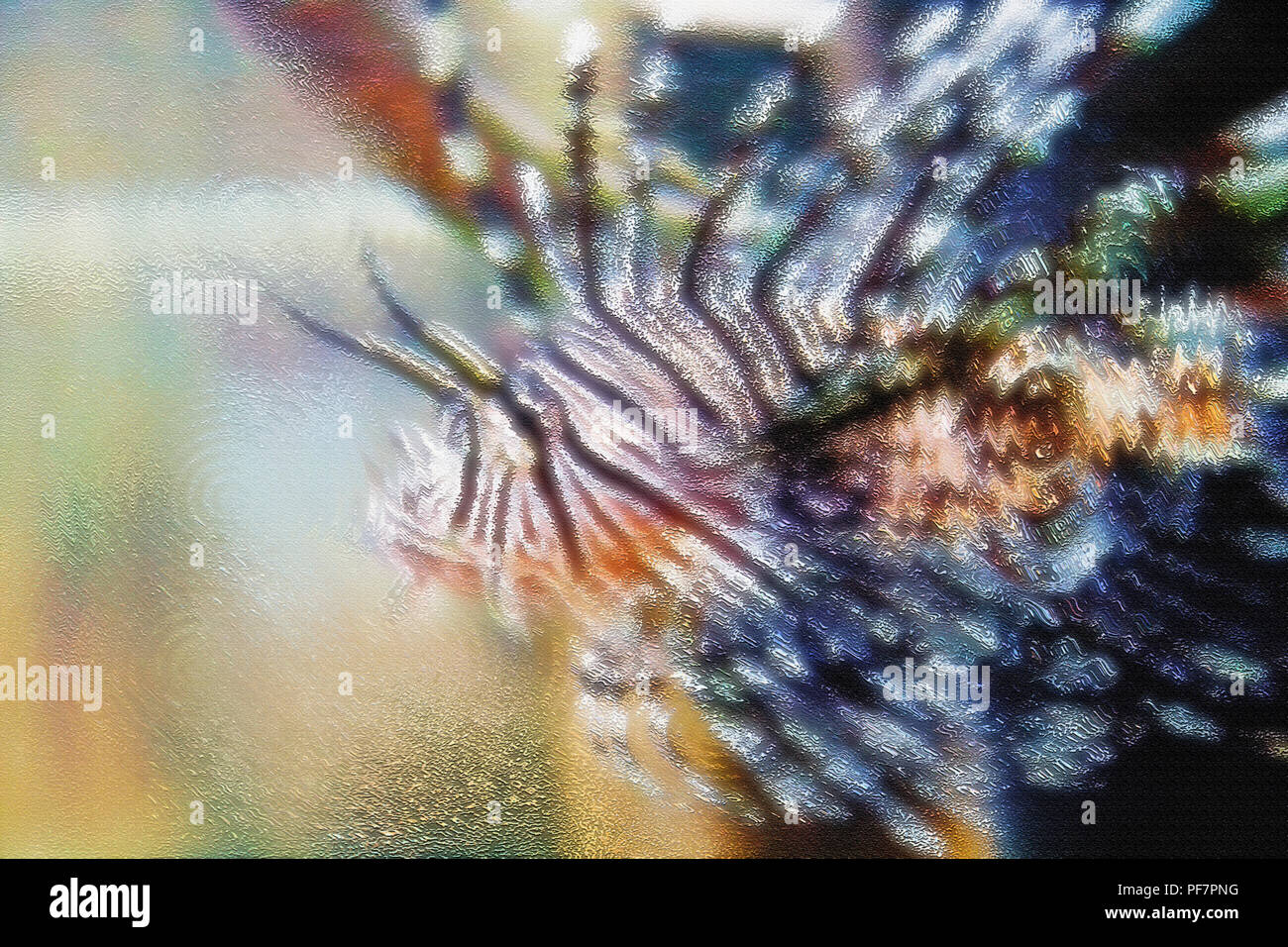 Fish with spikes hi-res stock photography and images - Alamy