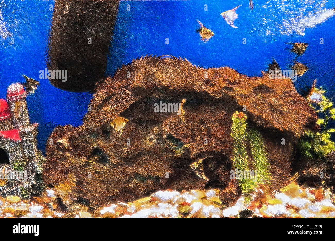 Original photograph, taken in the fish aquarium section of a local pet ...