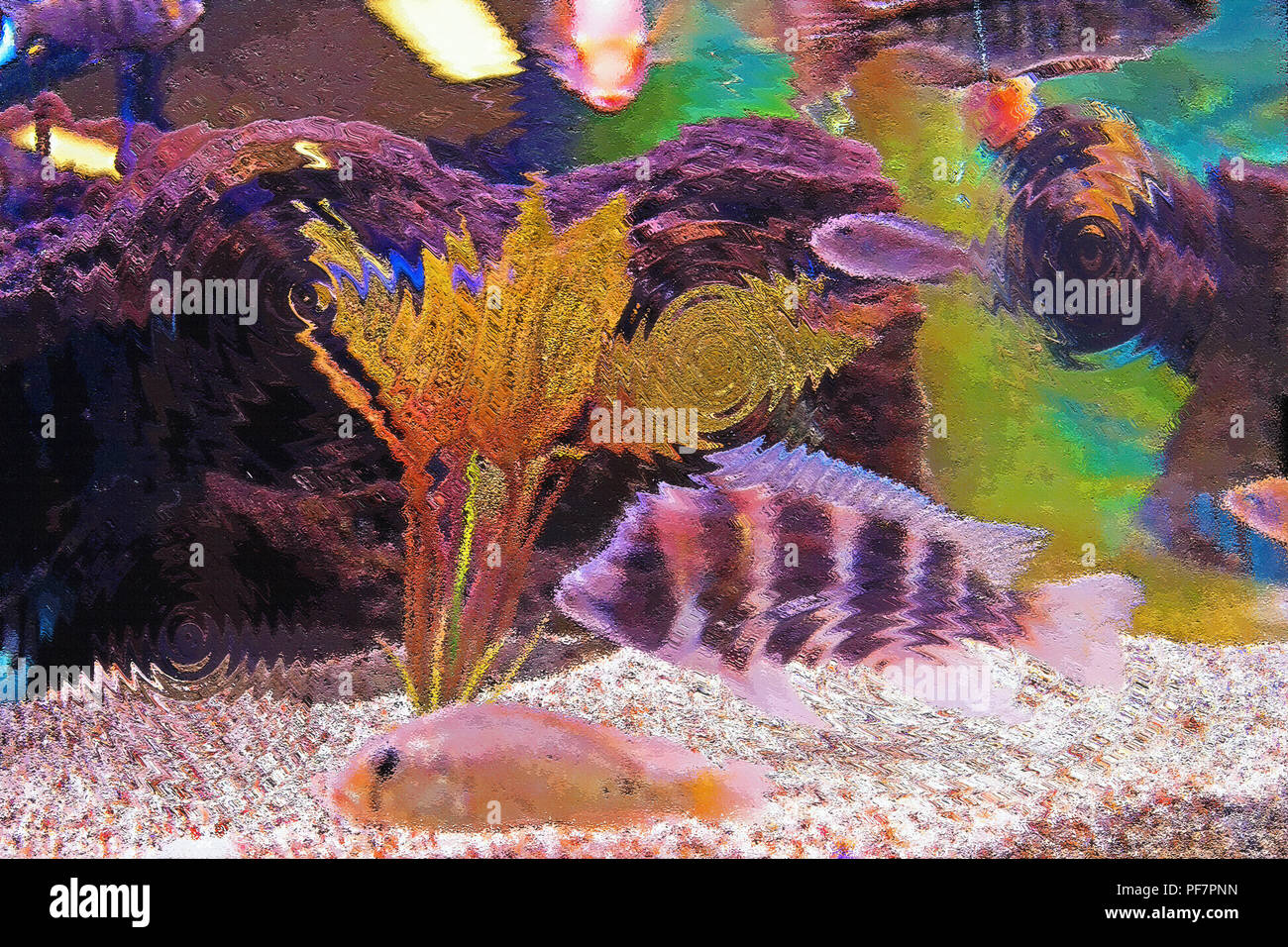 Original photograph, taken in the fish aquarium section of a local pet ...