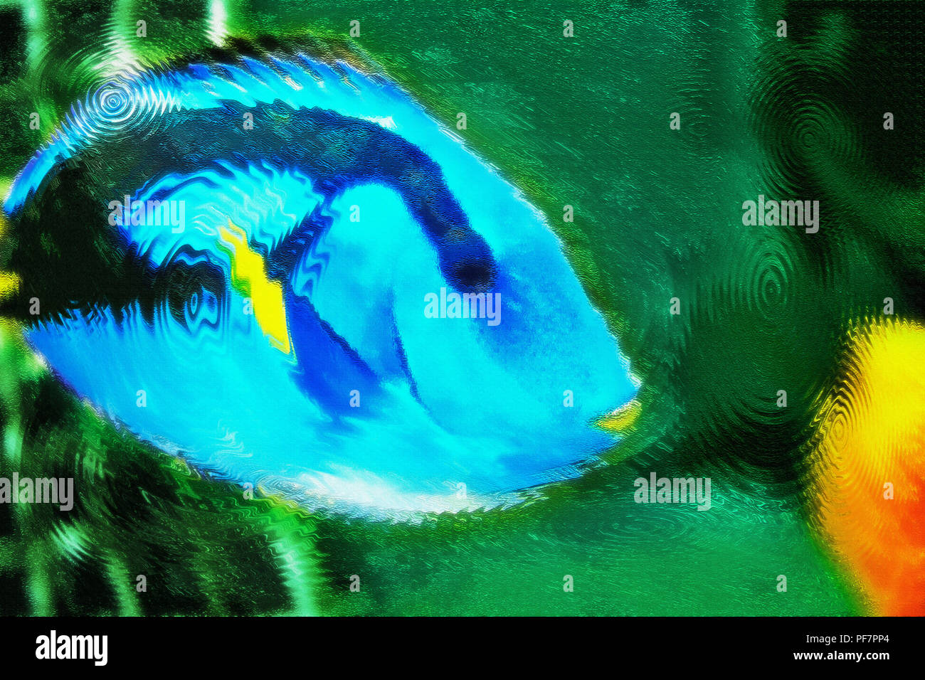 Colorful abstract underwater photograph hi-res stock photography and ...