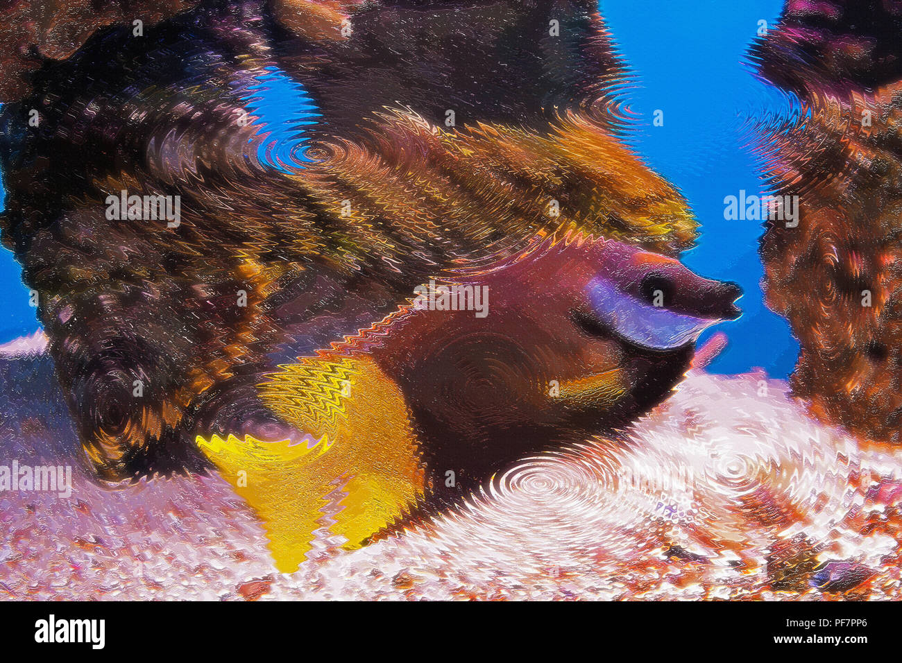 Photoshop poster lines hi-res stock photography and images - Alamy