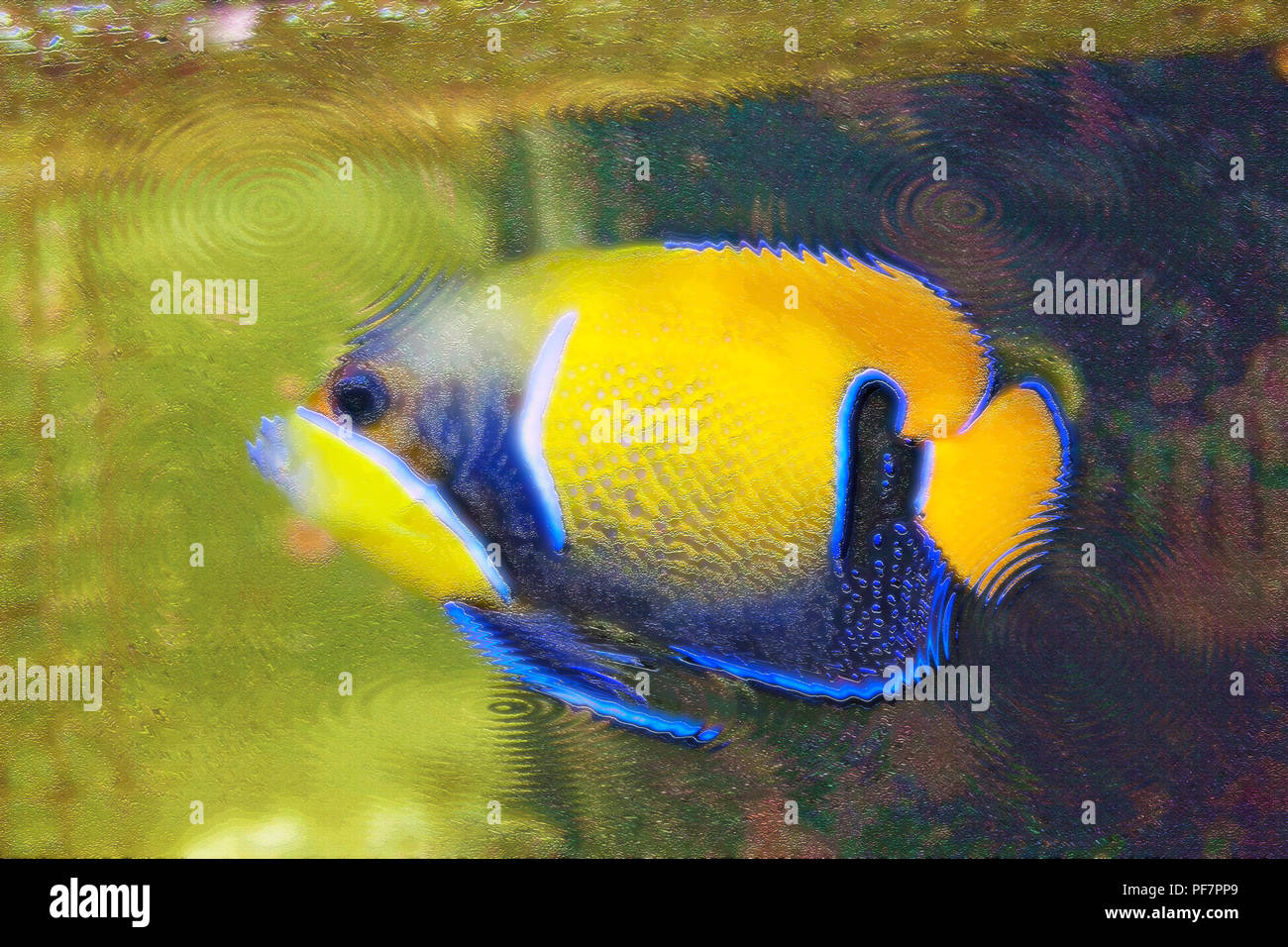 Photoshop poster lines hi-res stock photography and images - Alamy