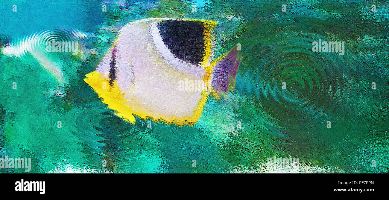 Original photograph, taken in the fish aquarium section of a local pet ...