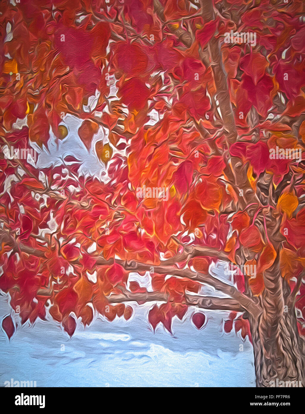 My favorite season is autumn. One day I spent time driving in the city ...