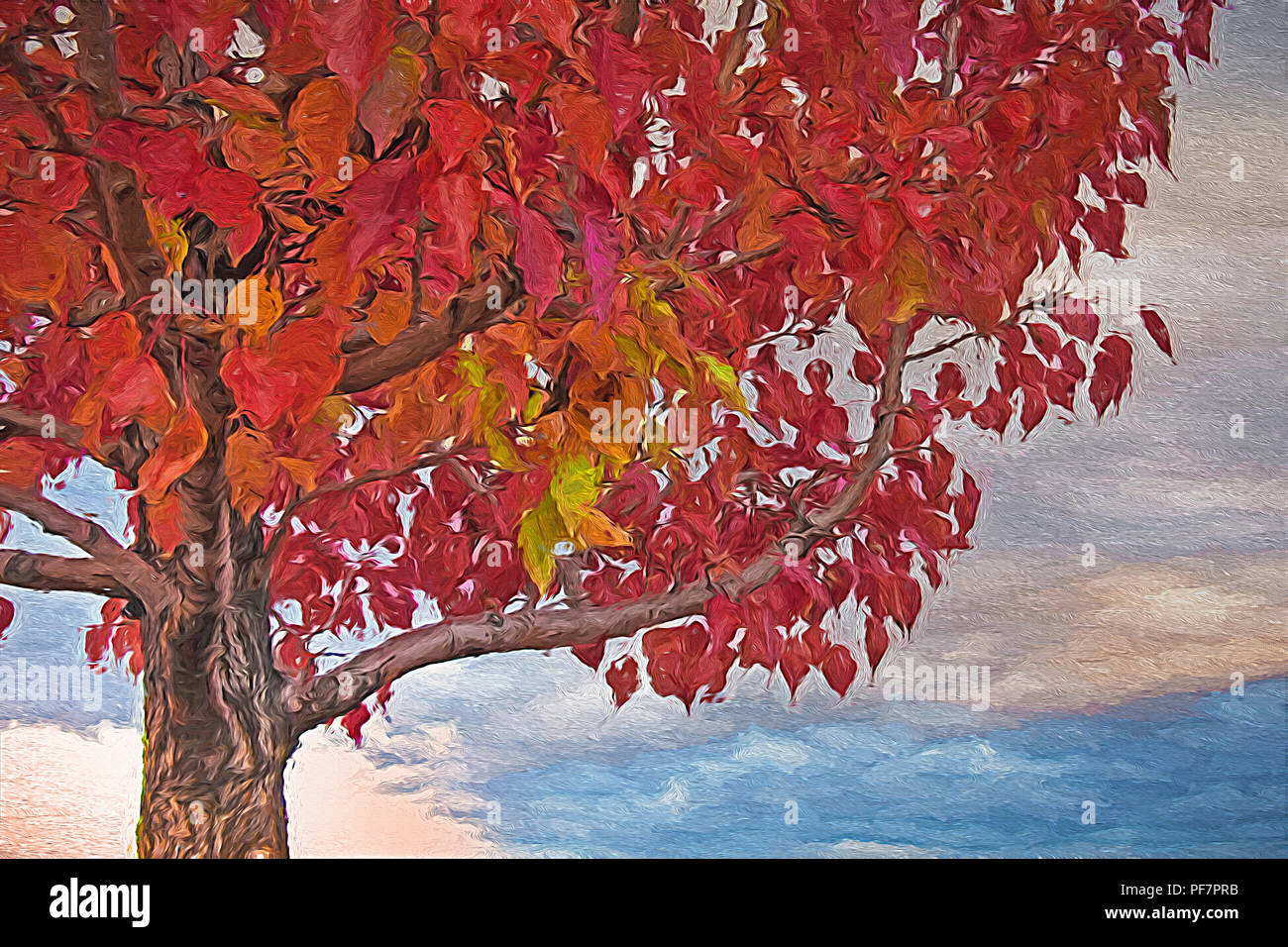 My favorite season is autumn. One day I spent time driving in the city ...