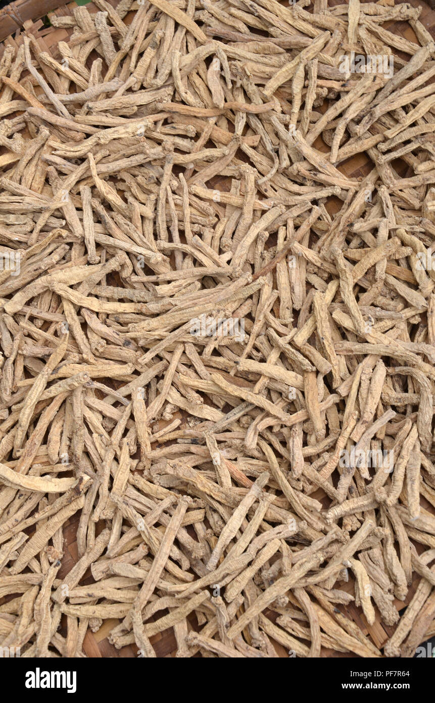 Dry Ginseng roots in Asian food market Stock Photo - Alamy