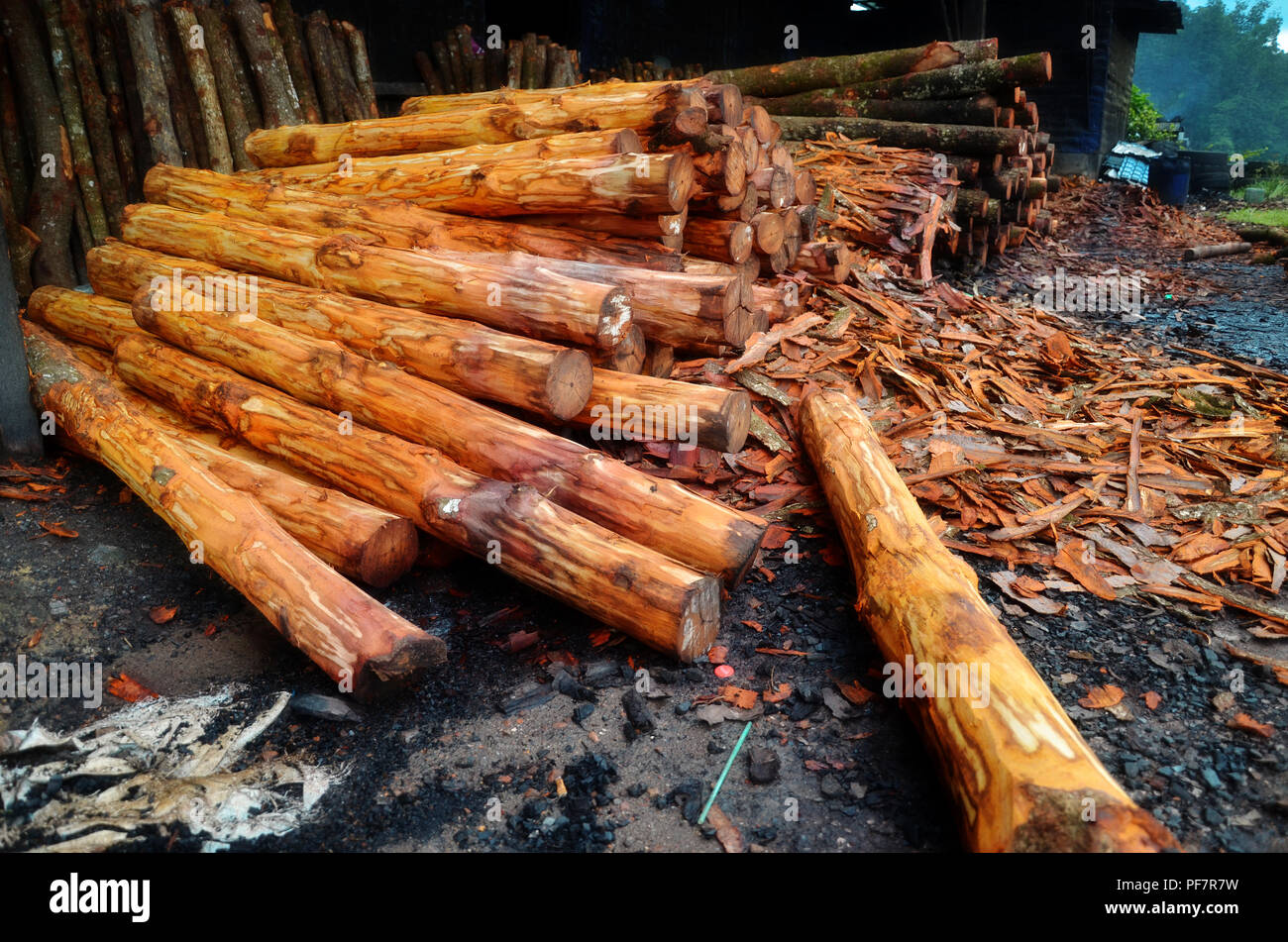 Kuala sepetang hi-res stock photography and images - Alamy