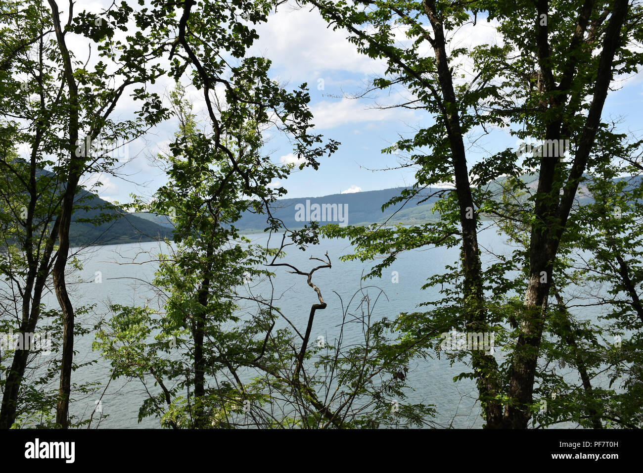 View of trees with lake background Stock Photo - Alamy
