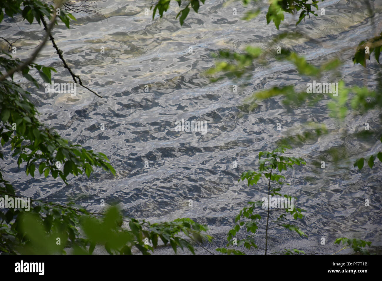 Particular view hi-res stock photography and images - Alamy