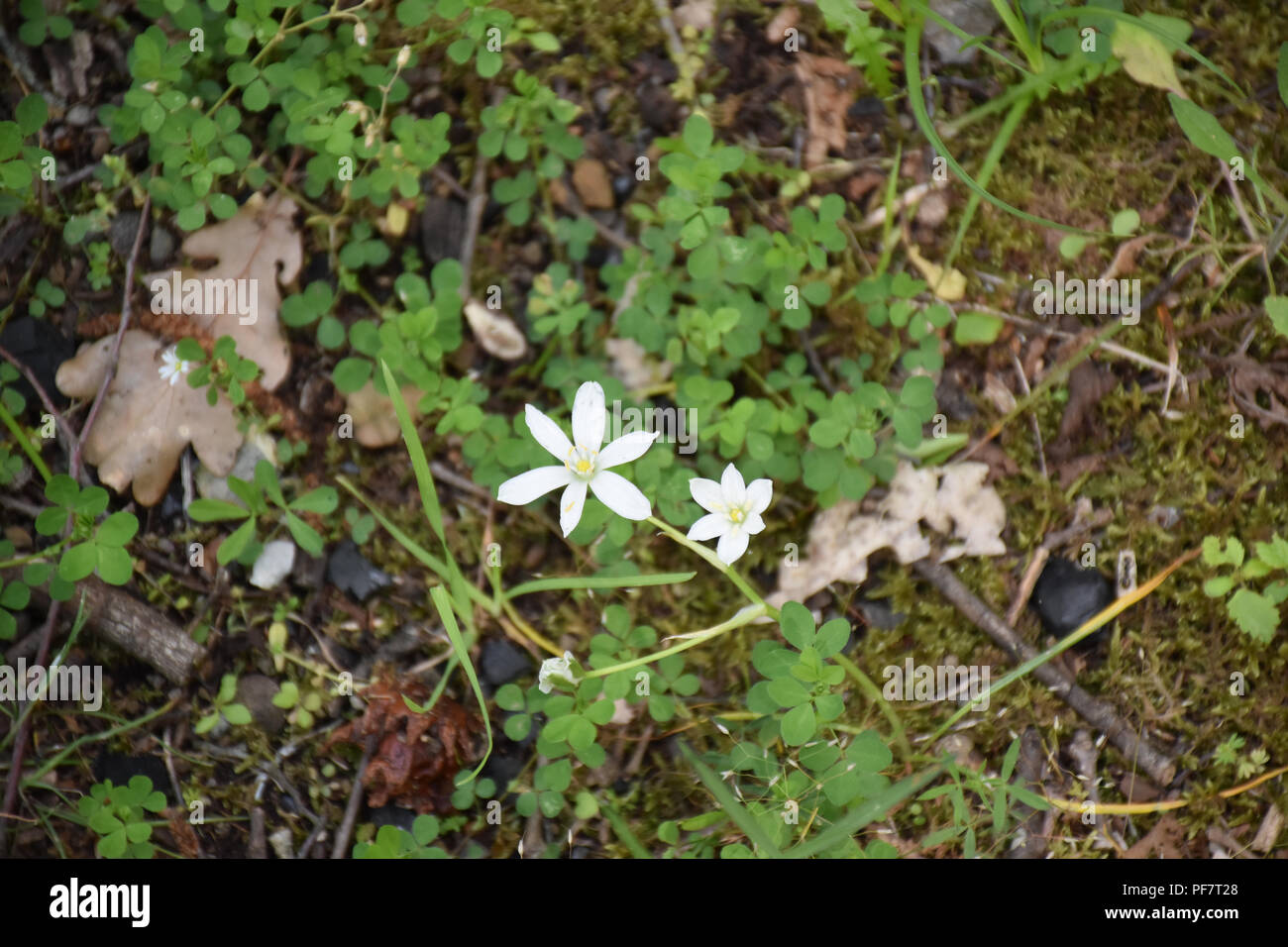 Particular view hi-res stock photography and images - Alamy