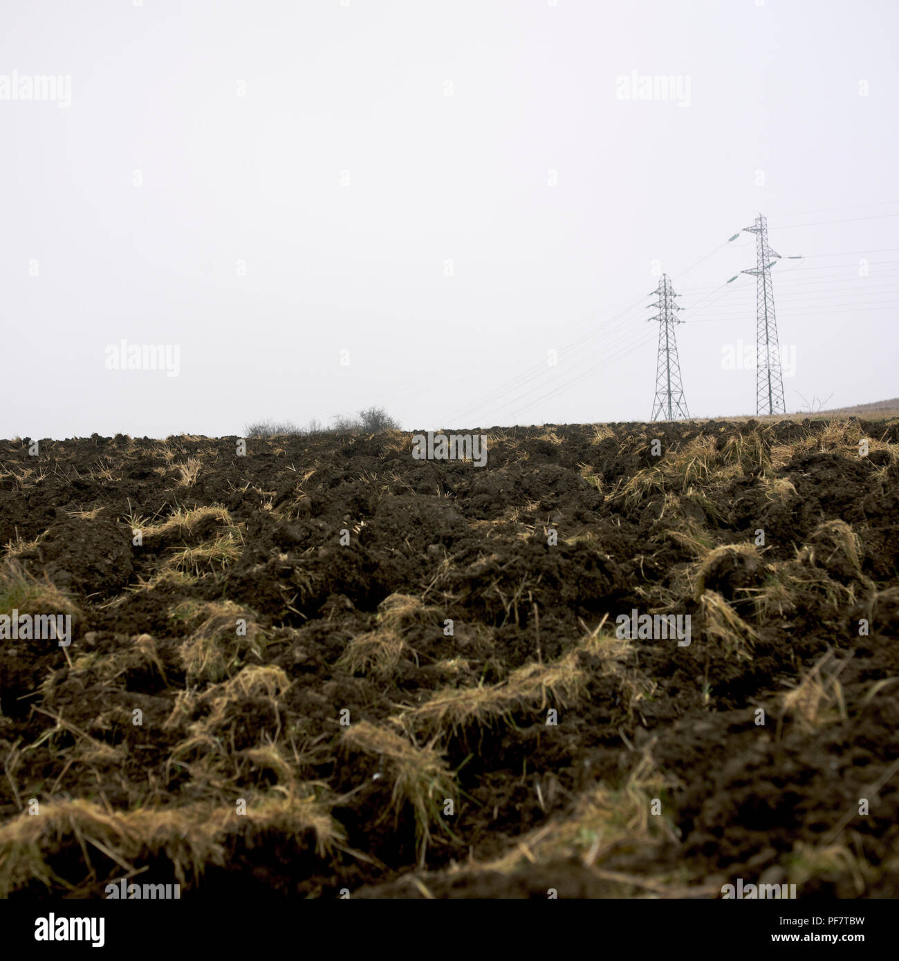 Power lines with two poles hi-res stock photography and images - Alamy