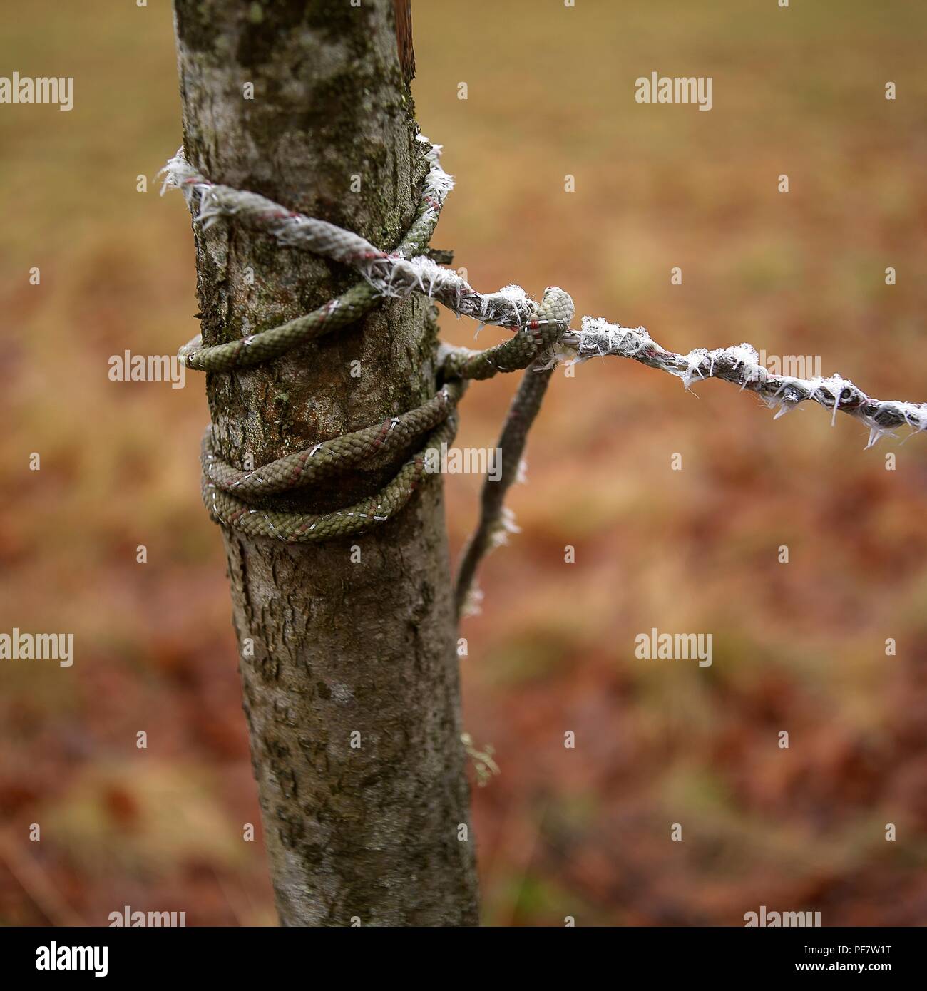 Rope Around Wood High Resolution Stock Photography and Images - Alamy