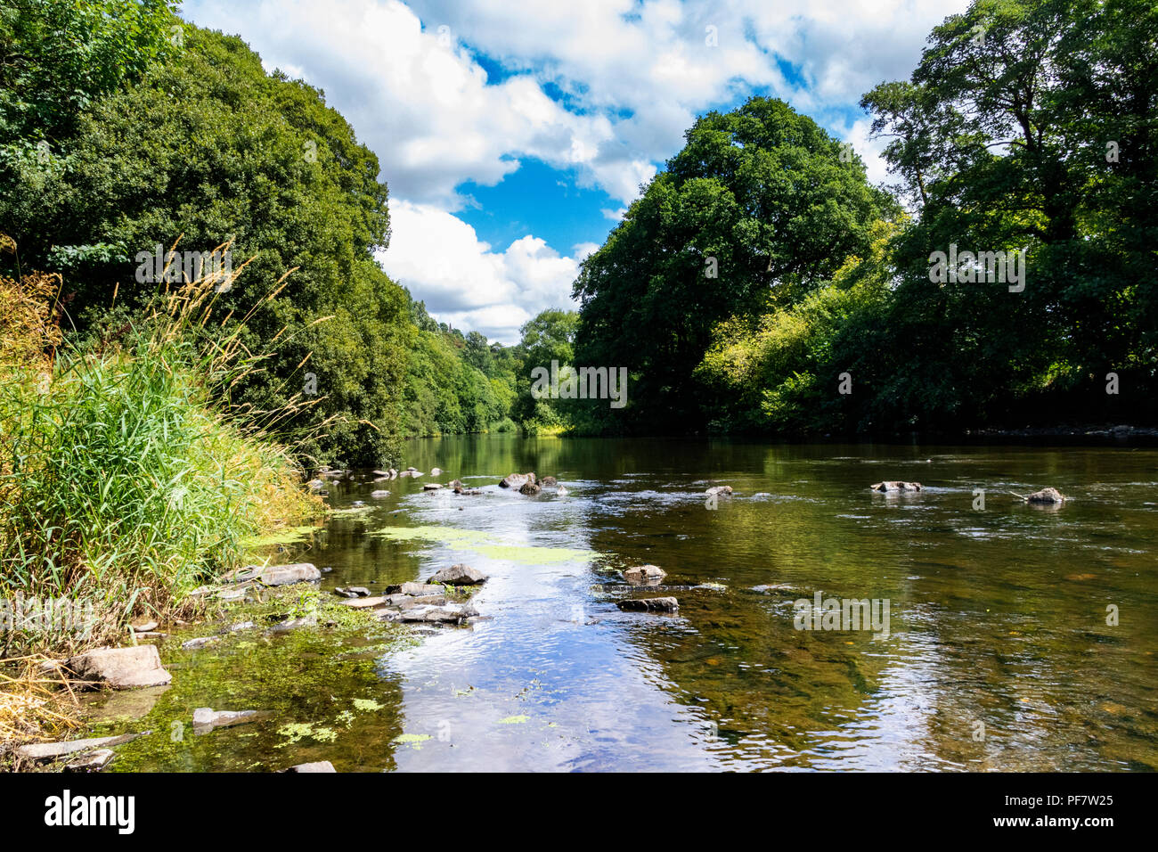 North devon great torrington hi-res stock photography and images - Alamy