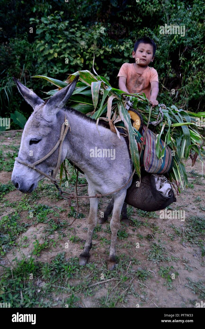 LA ZUNGA - Ecuador border -San Ignacio- Department of Cajamarca .PERU ...