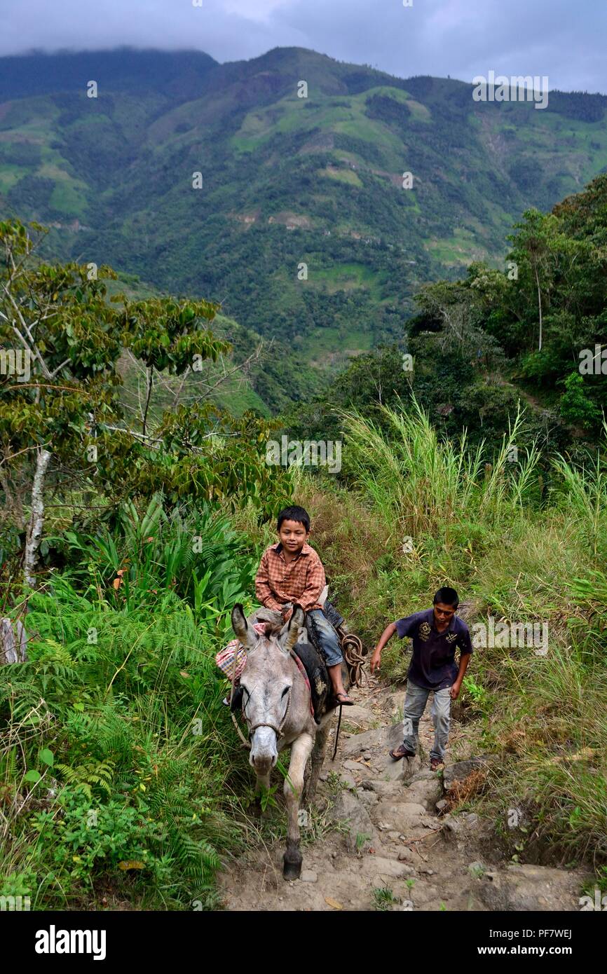 LA ZUNGA - Ecuador border -San Ignacio- Department of Cajamarca .PERU ...