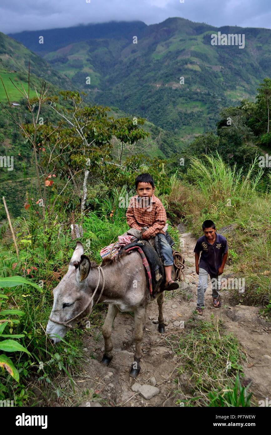 LA ZUNGA - Ecuador border -San Ignacio- Department of Cajamarca .PERU ...