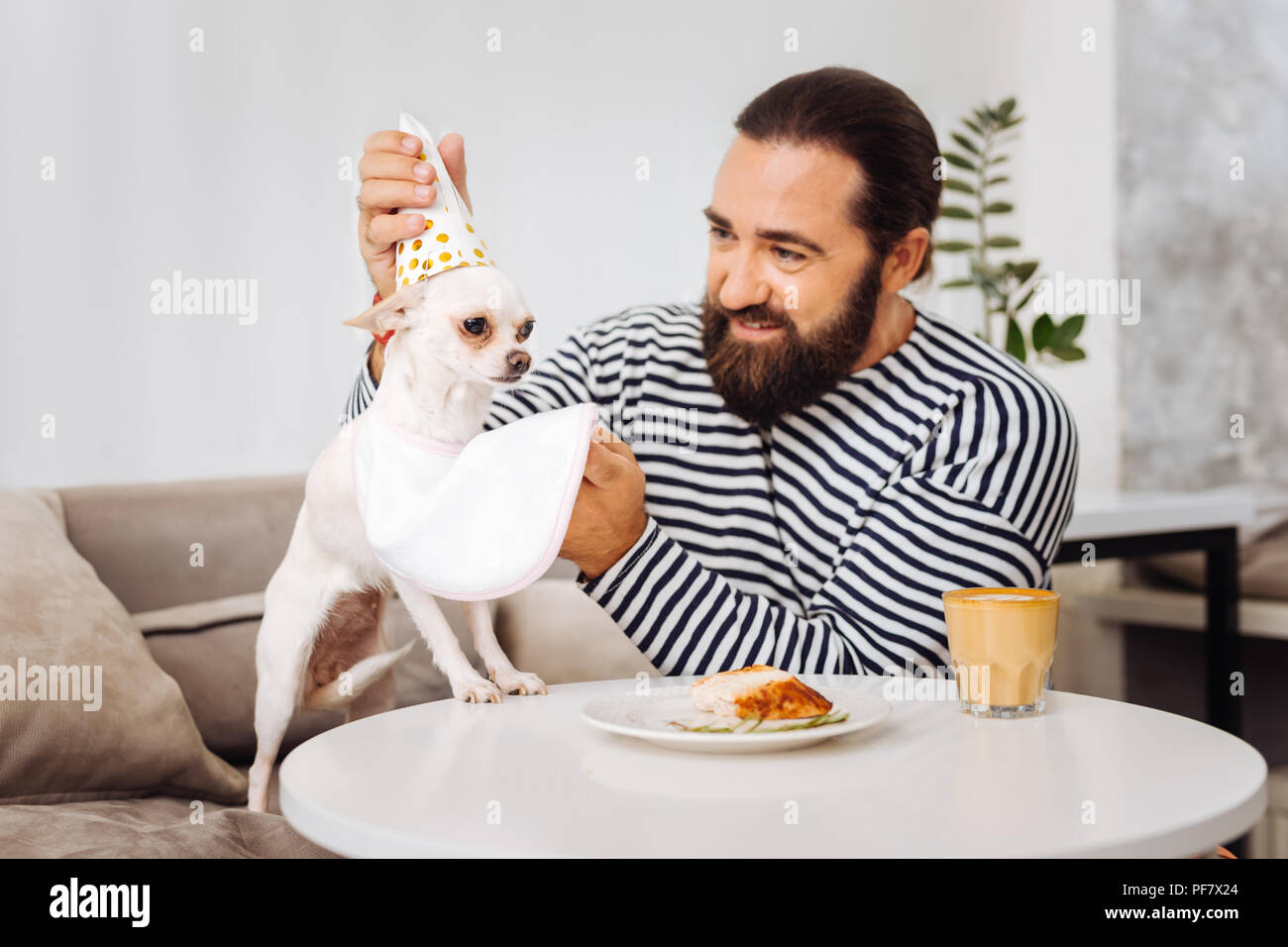 Wall eyed dog hi-res stock photography and images - Alamy