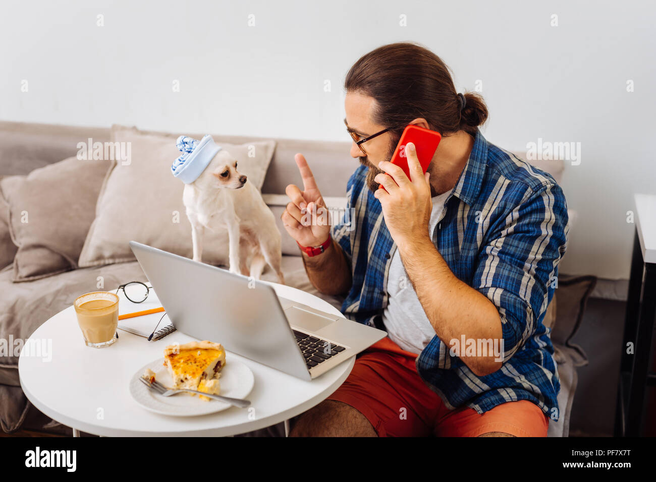 Calming a dog hi-res stock photography and images - Alamy