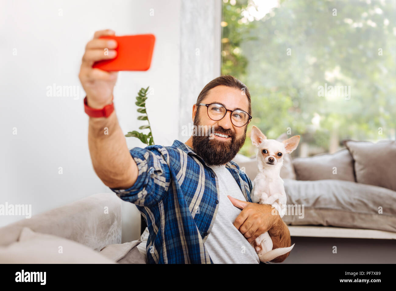 Smiling bearded man making selfie with little cute dog Stock Photo - Alamy