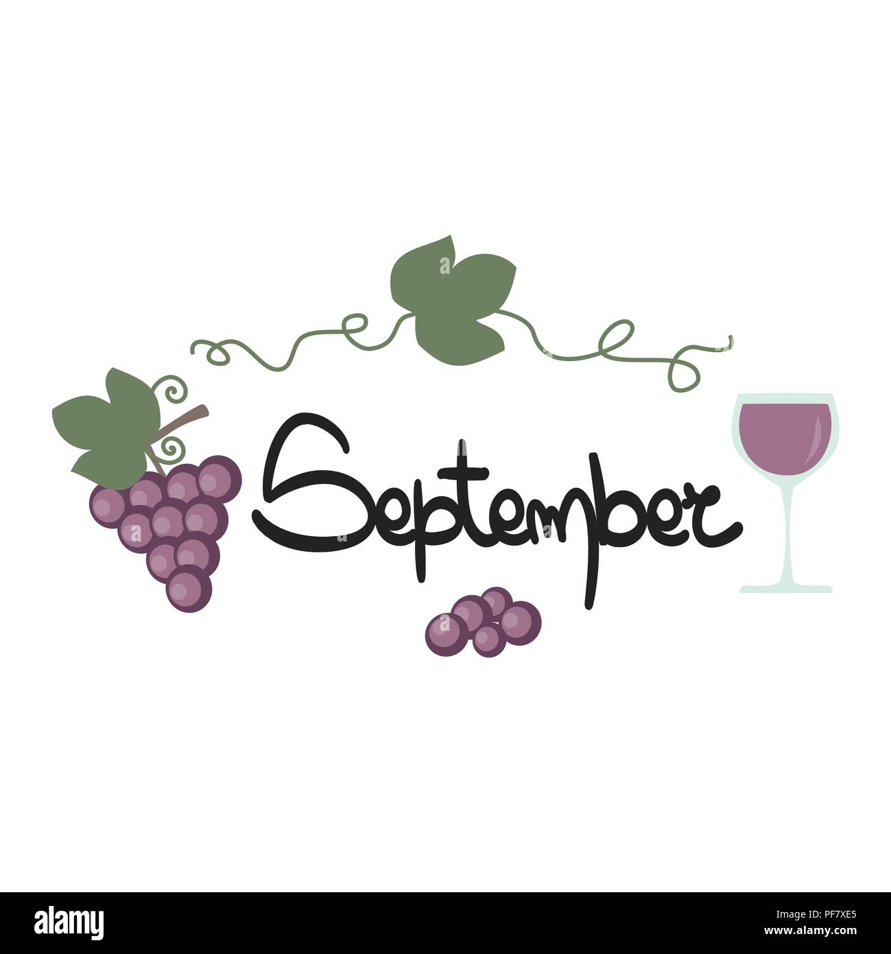 cute hand drawn lettering september text with grapes and wine vector ...