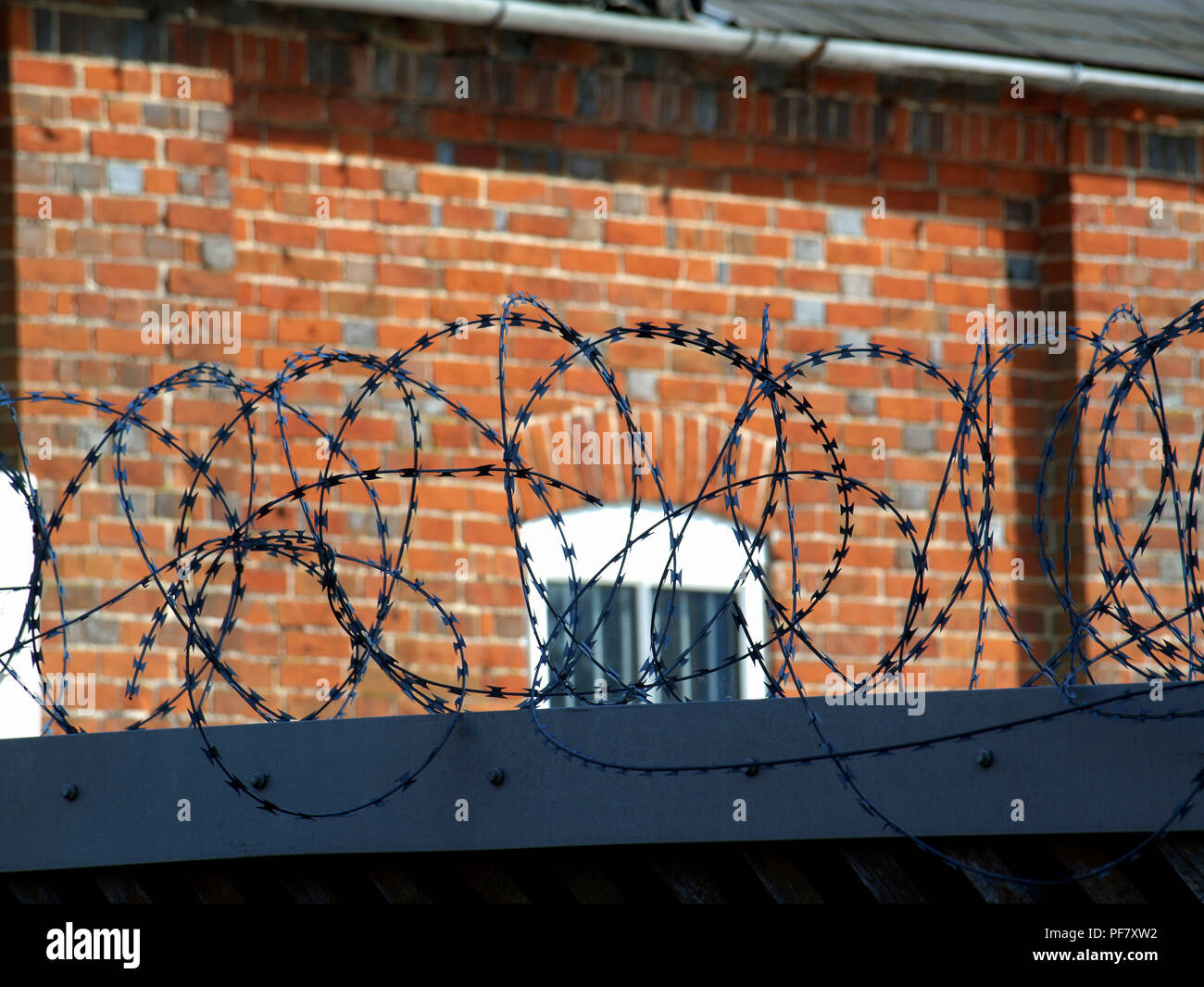 Coiled barbed wire on top of brick wall Stock Photo - Alamy