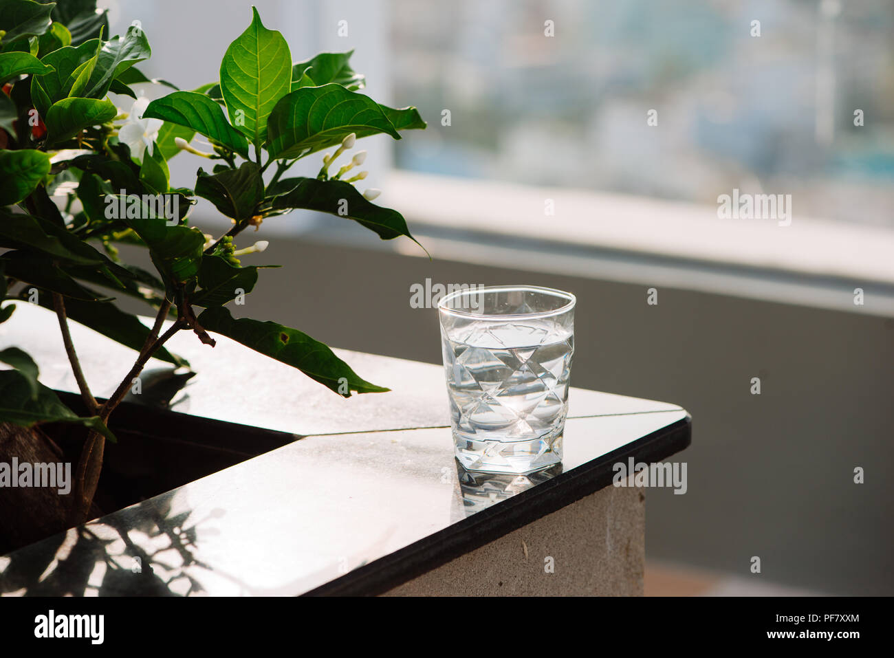 Table nature hi-res stock photography and images - Alamy
