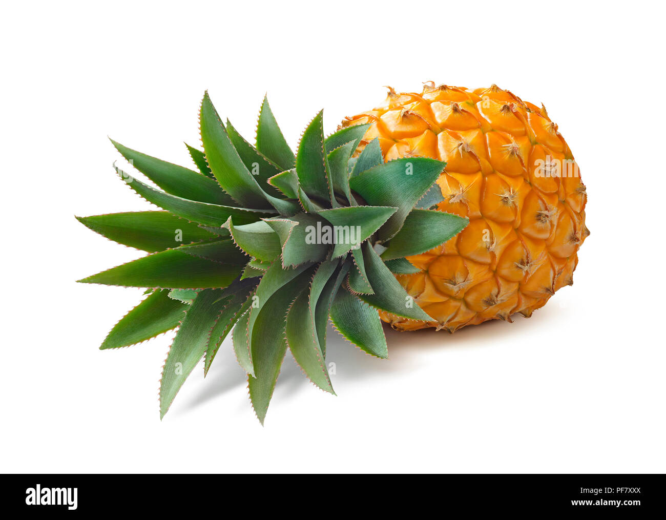 Mini ananas hi-res stock photography and images - Alamy