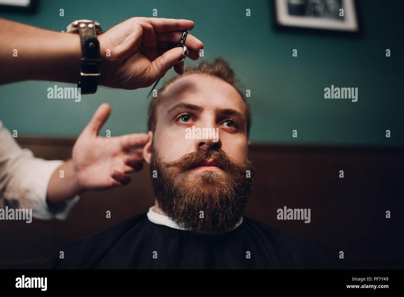 Barbershop with wooden interior. Bearded model man and barber Stock ...