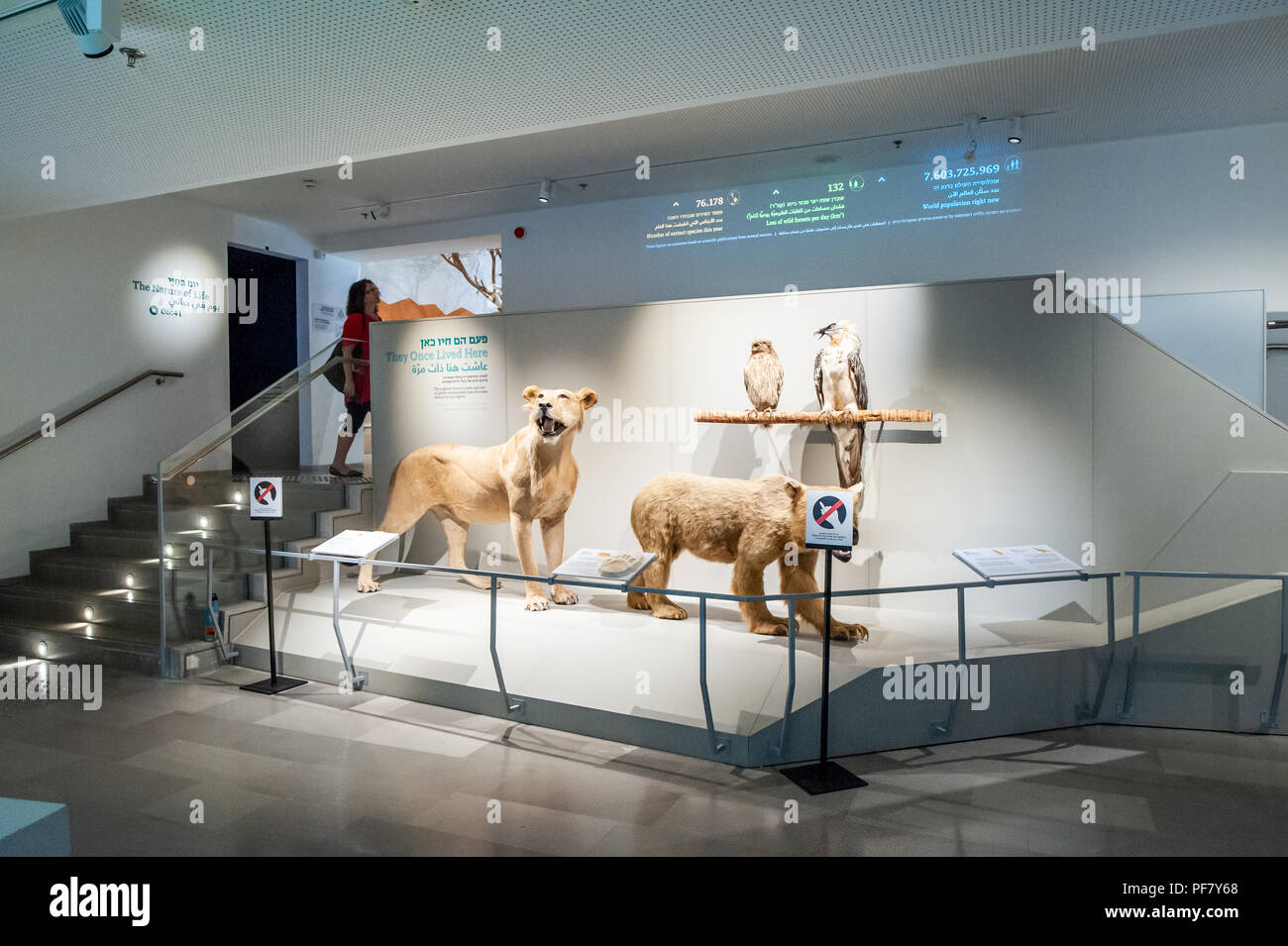 Israel, Ramat Aviv - 3 August 2018: Inside view of the Steinhardt ...