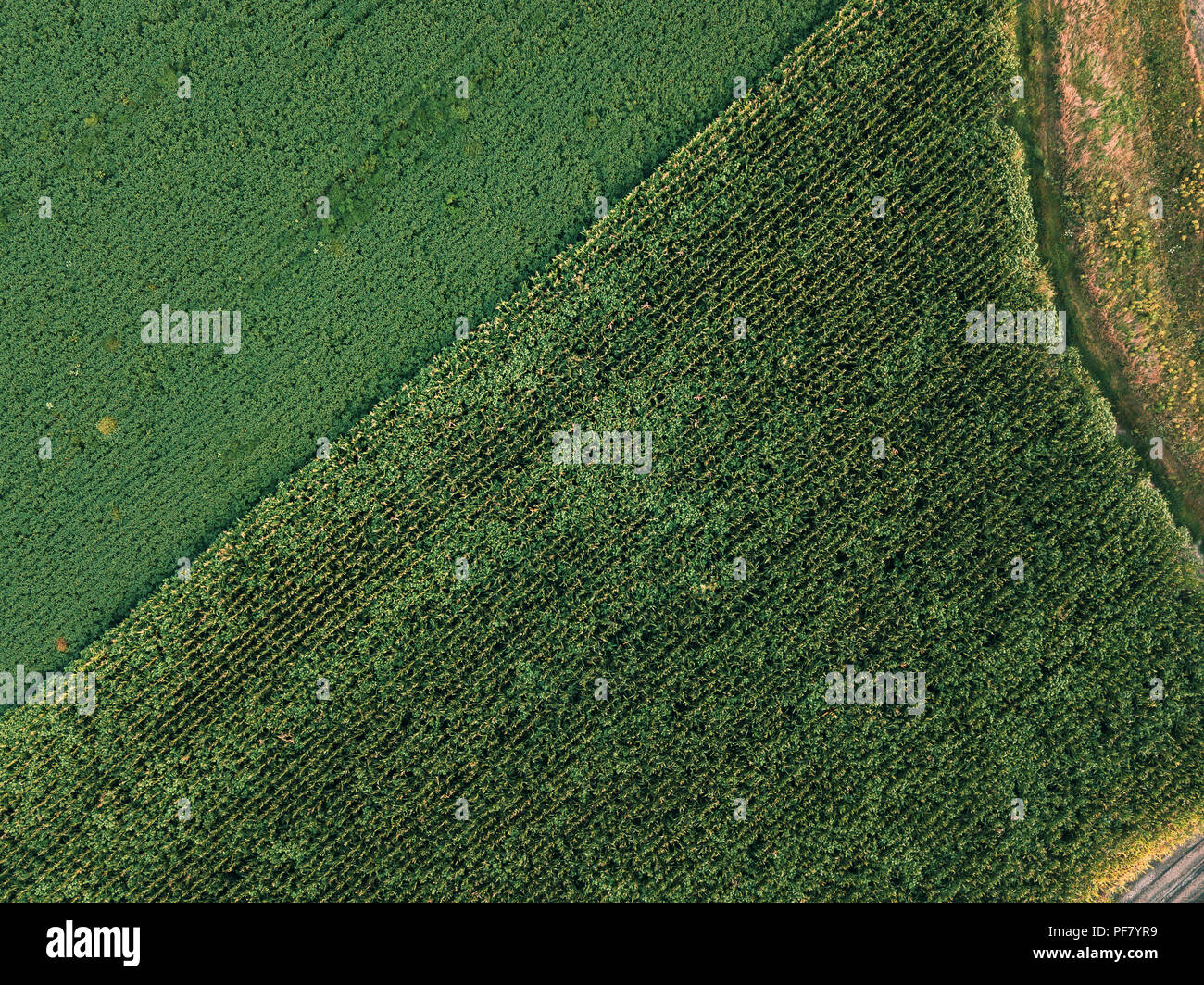 Aerial photography of field hi-res stock photography and images - Alamy