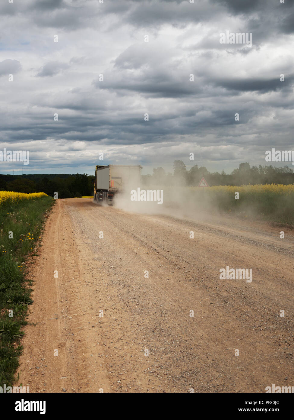 Dust road between rape fields Stock Photo - Alamy