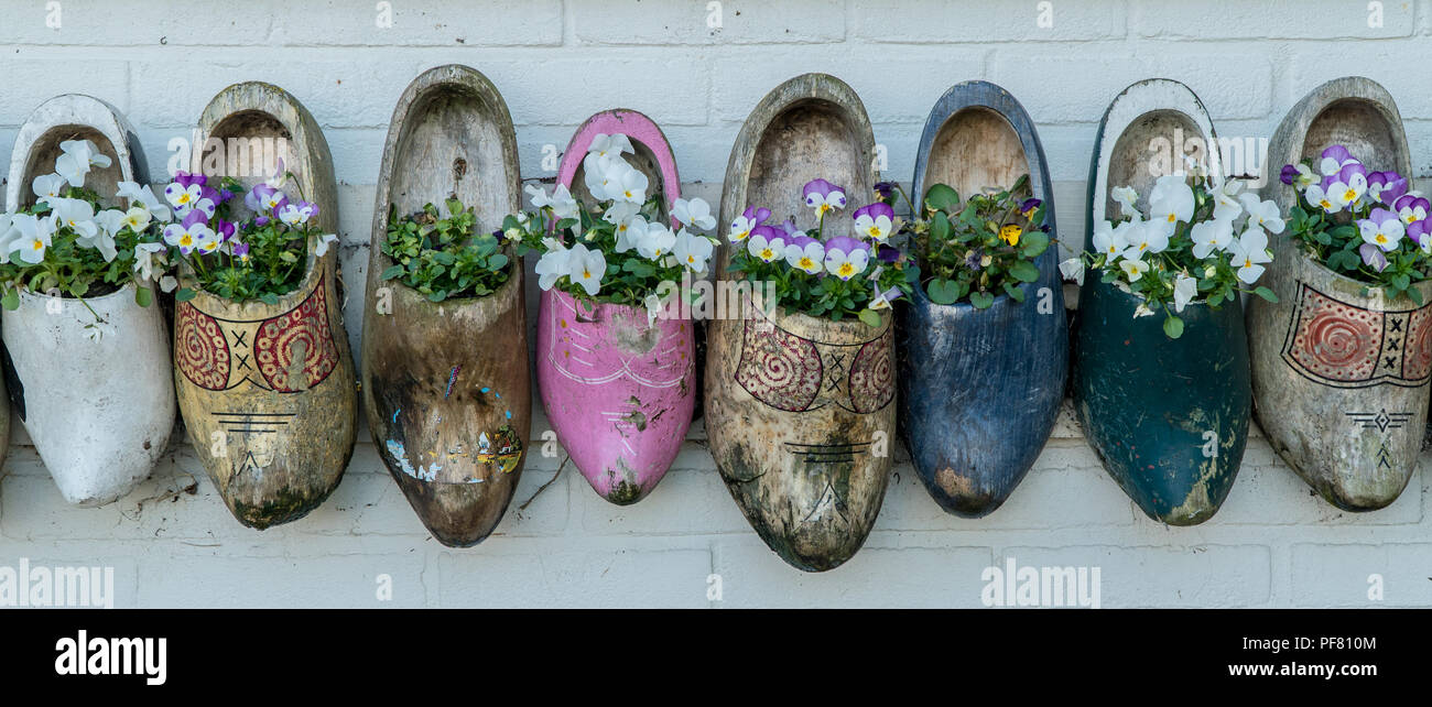Old wooden clogs with blooming flowers in Netherlands Stock Photo - Alamy