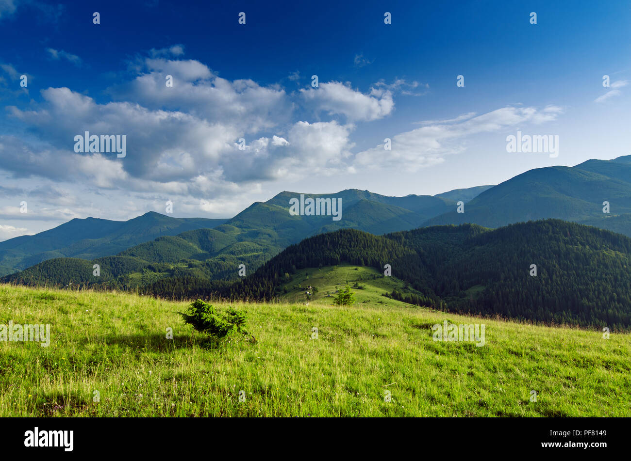 Carpathian mountain landscape Stock Photo - Alamy