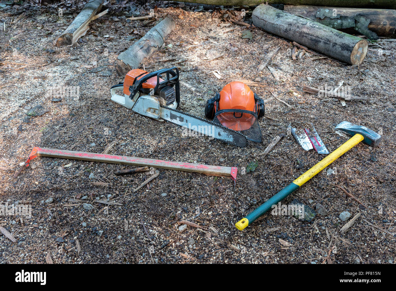 Forest cutting hi-res stock photography and images - Alamy