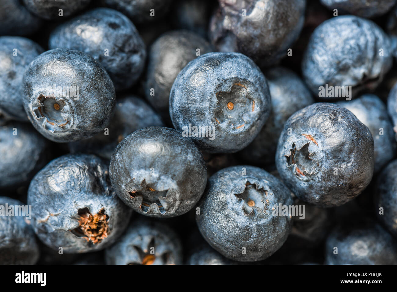 Ripe blueberries harvest close up horizontal background Stock Photo - Alamy