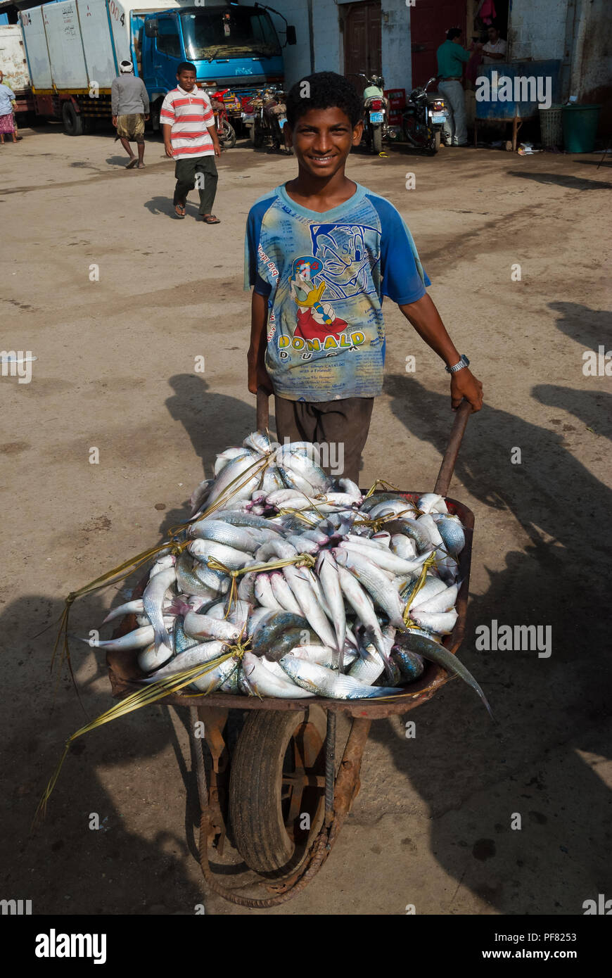Carries fish hi-res stock photography and images - Alamy