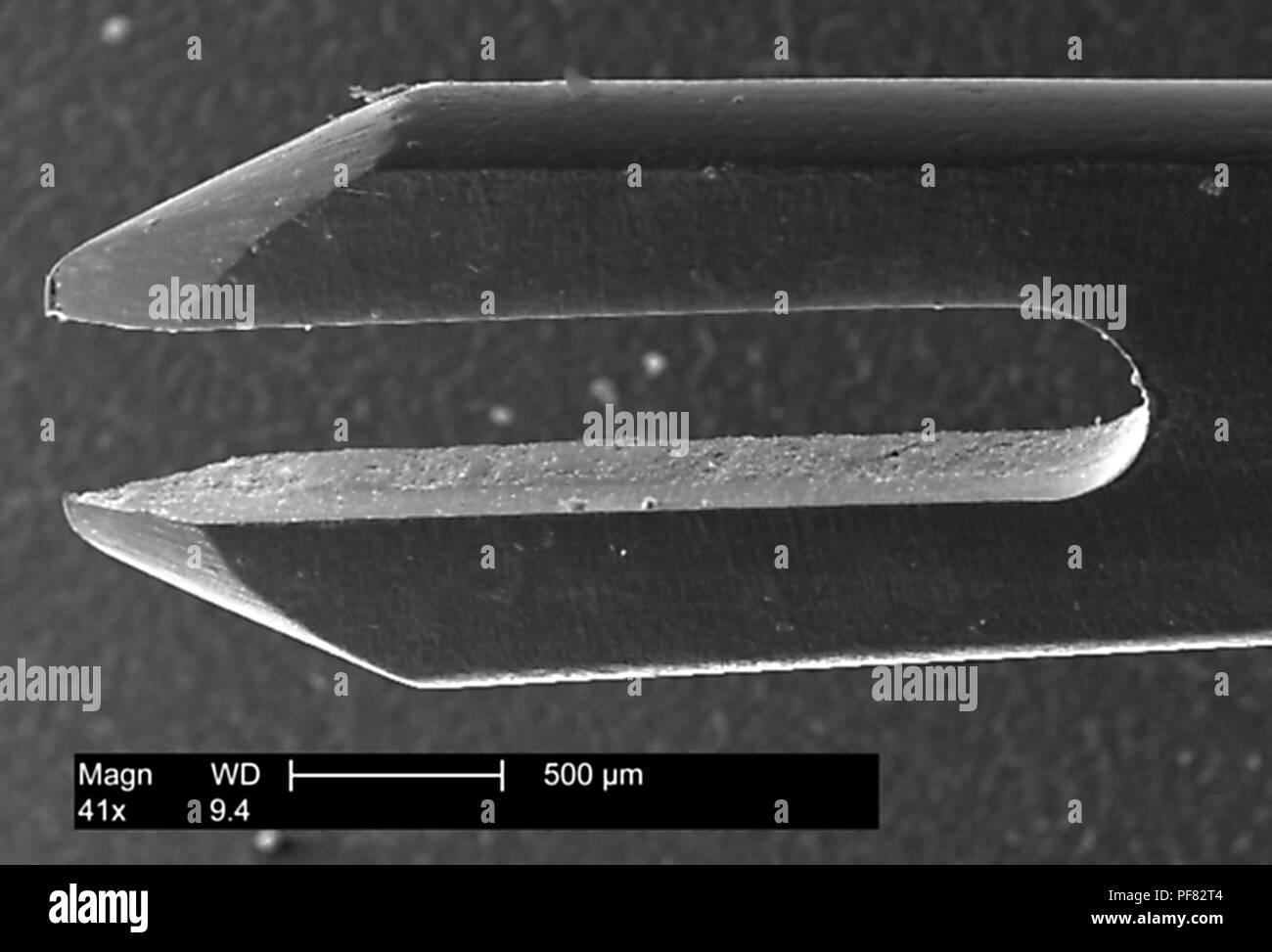 Bifurcated needle smallpox vaccination Black and White Stock Photos ...