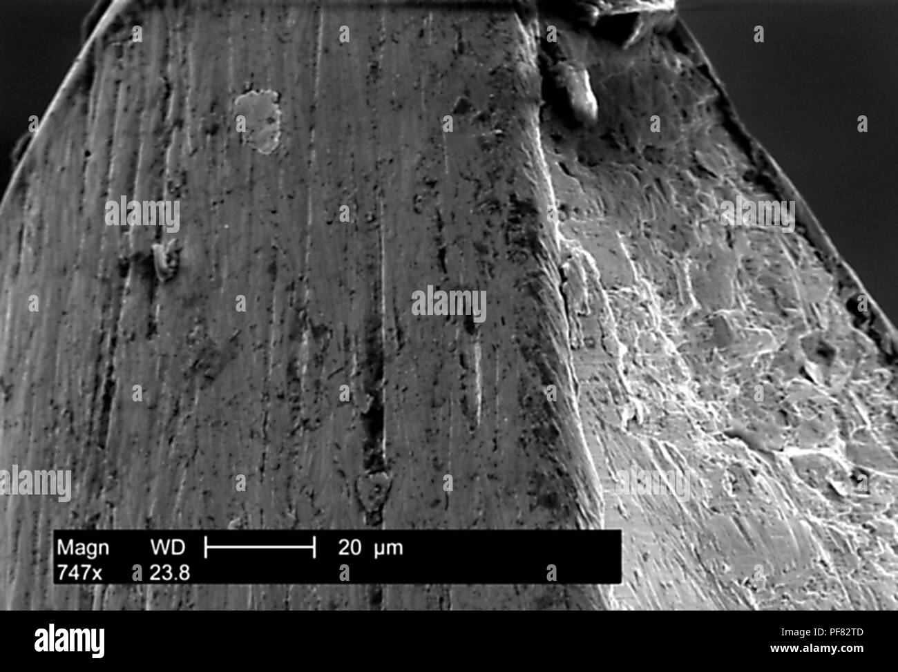 Roughened Black and White Stock Photos & Images - Alamy