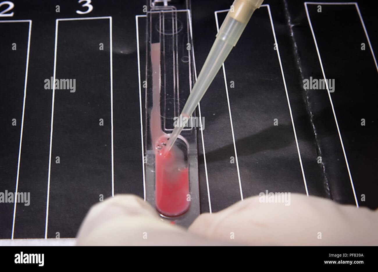 Cheryl hi-res stock photography and images - Alamy