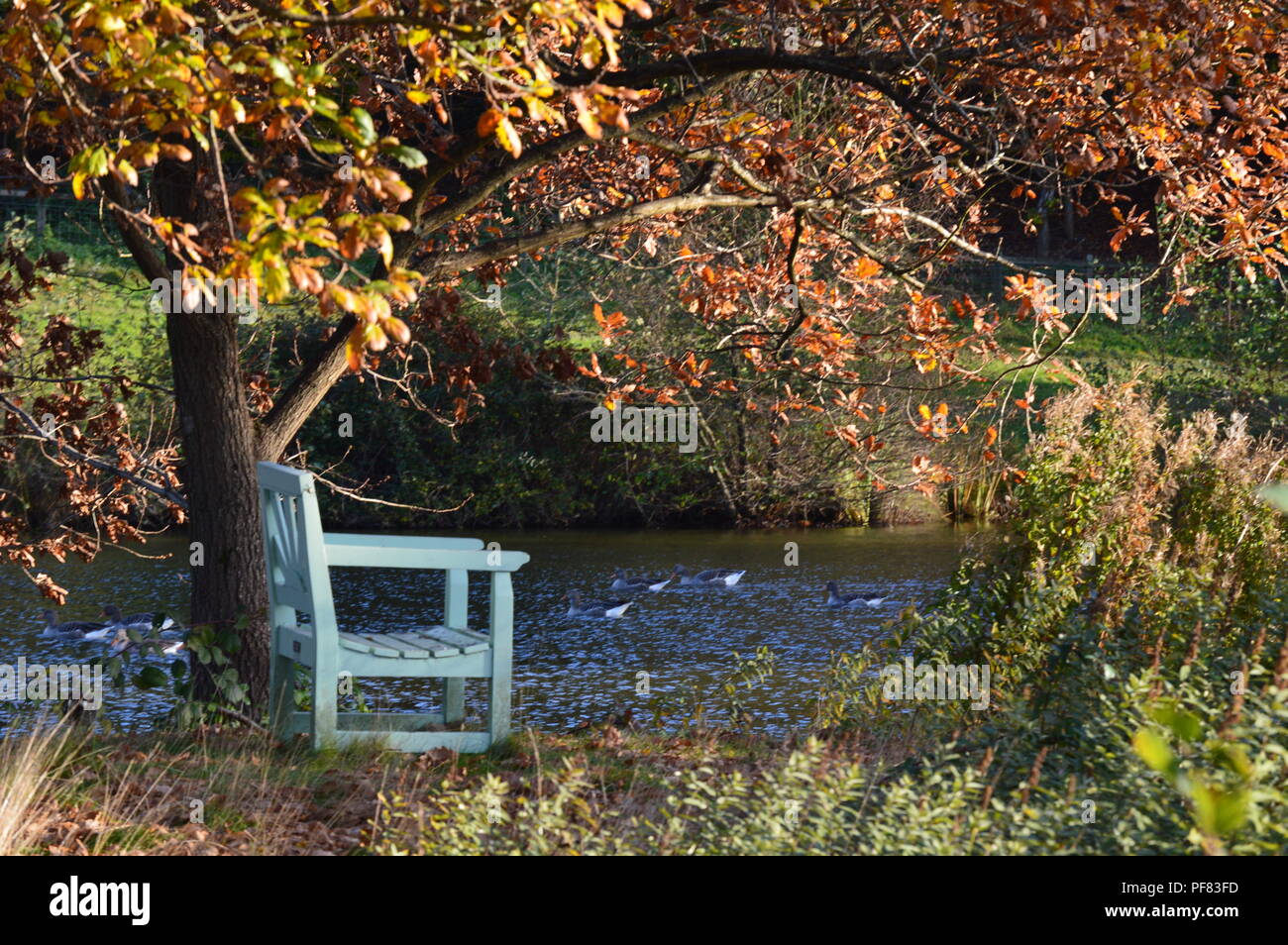 Fallen chair hi-res stock photography and images - Alamy