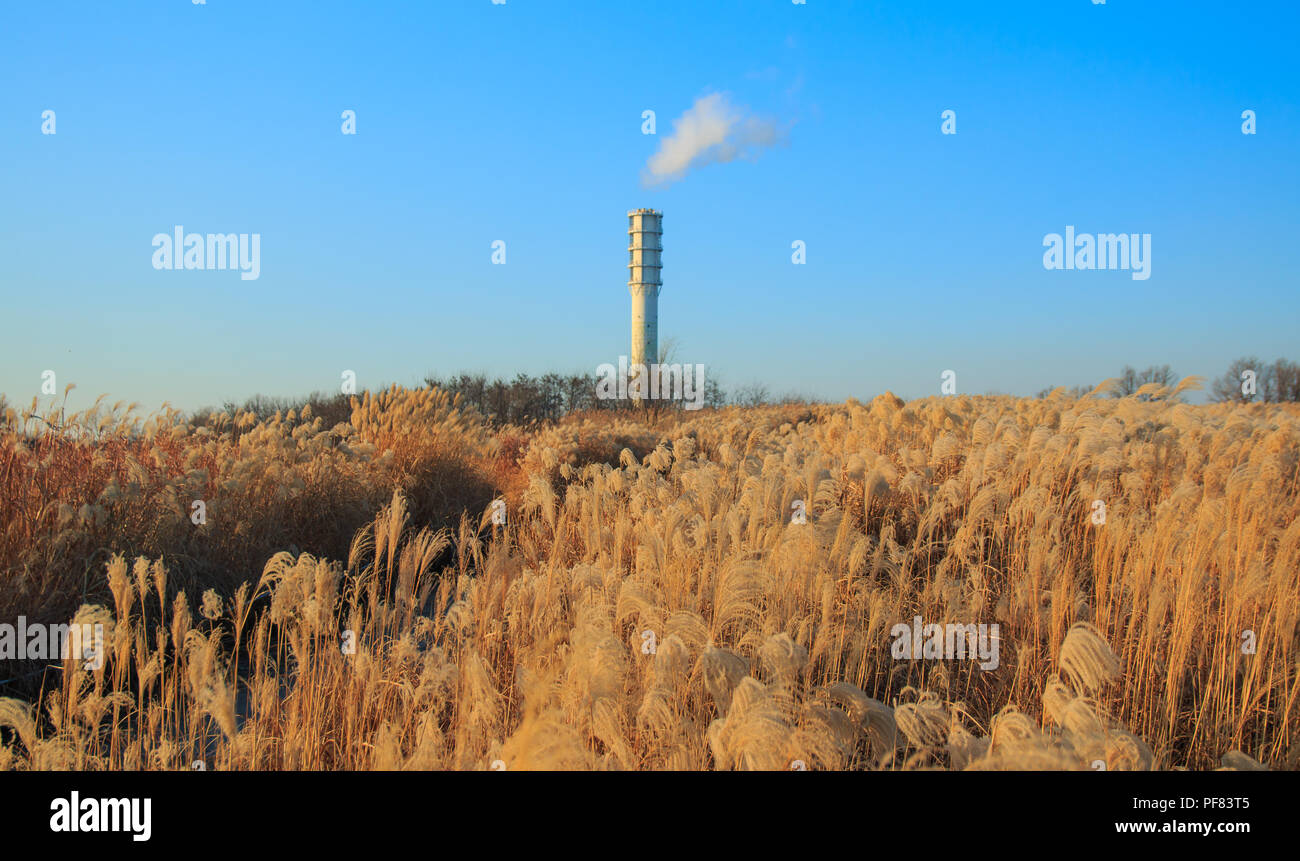 Winter landscape of Haneul Park, another name is Skypark, in Seoul ...