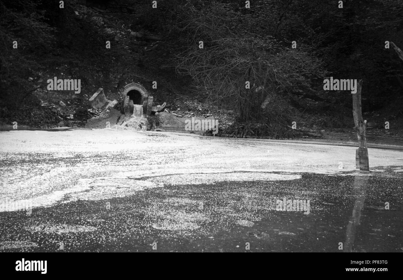 Courtesy outlet hi-res stock photography and images - Alamy