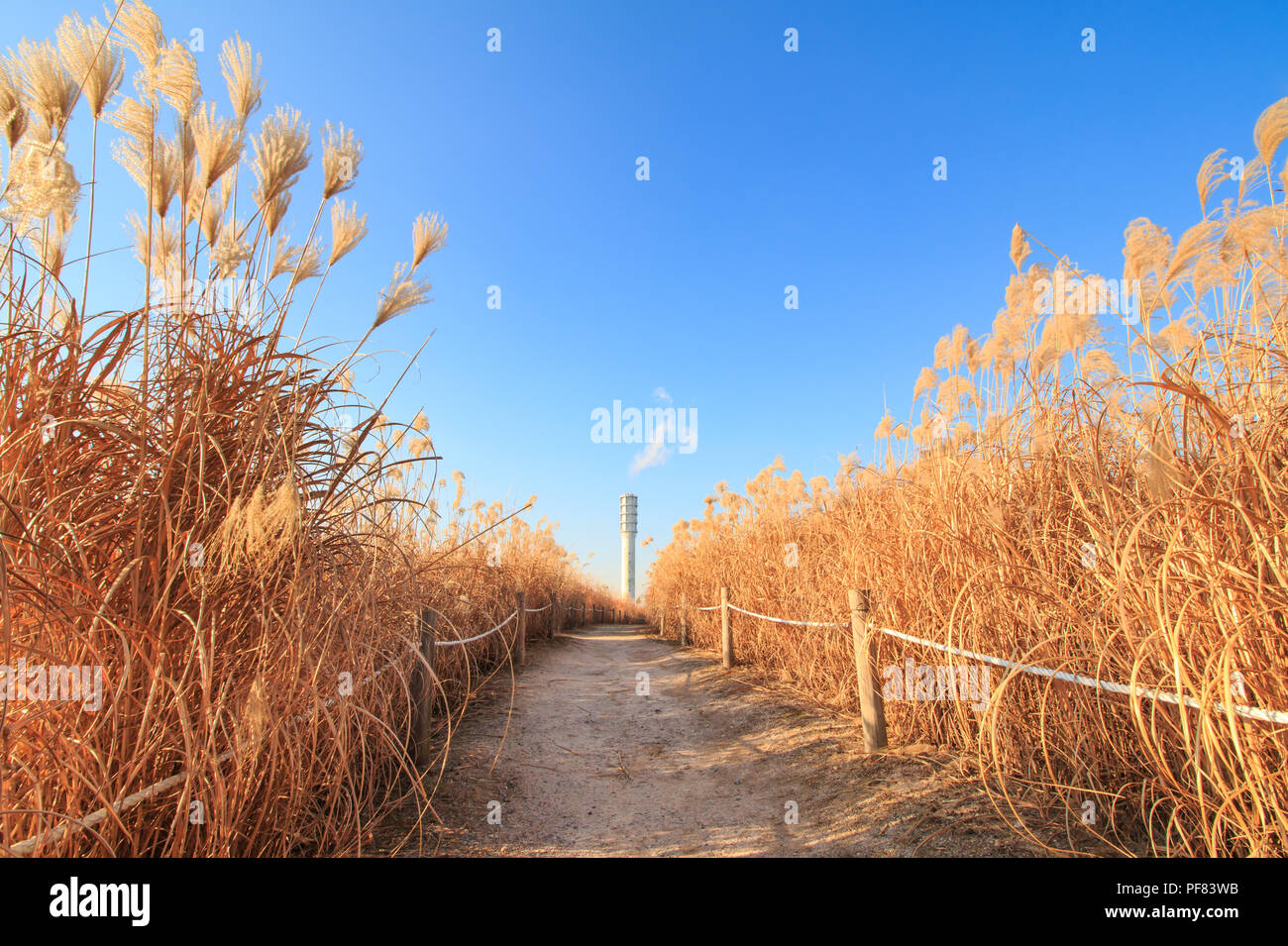 Winter landscape of Haneul Park, another name is Skypark, in Seoul ...