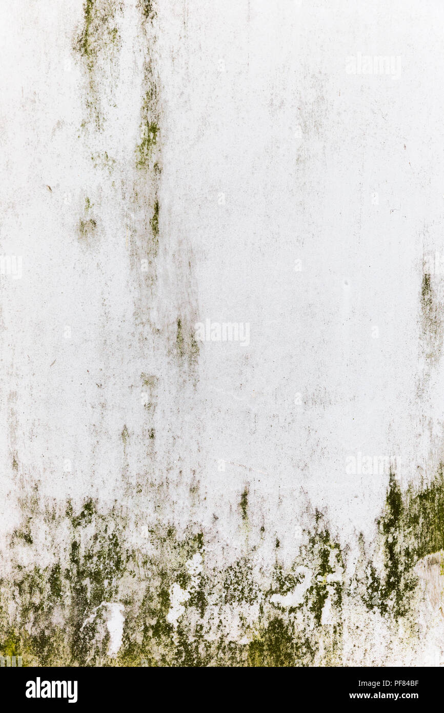 Paper mold frame hi-res stock photography and images - Alamy