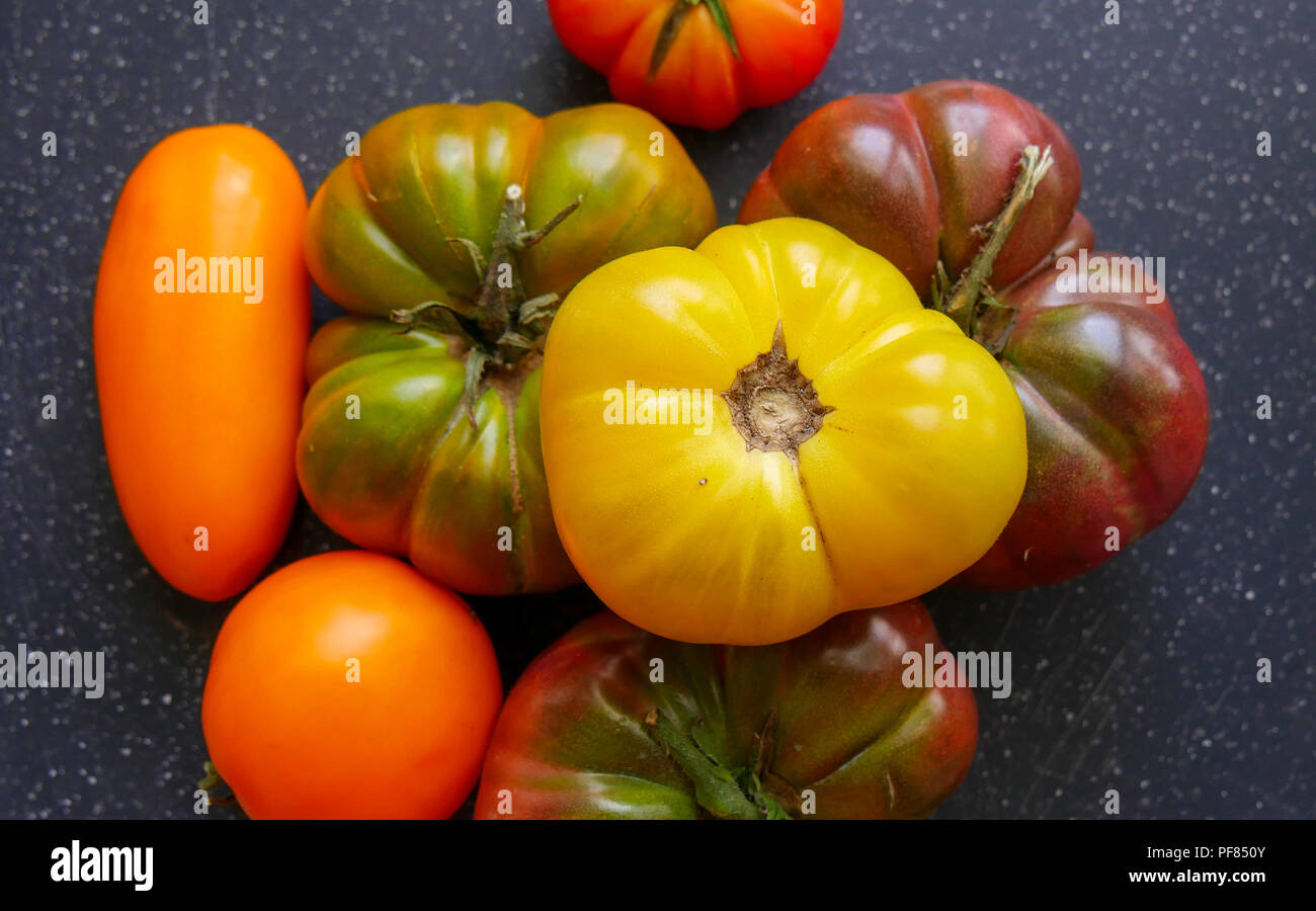 the different rustic tomatoes from the garden Stock Photo - Alamy