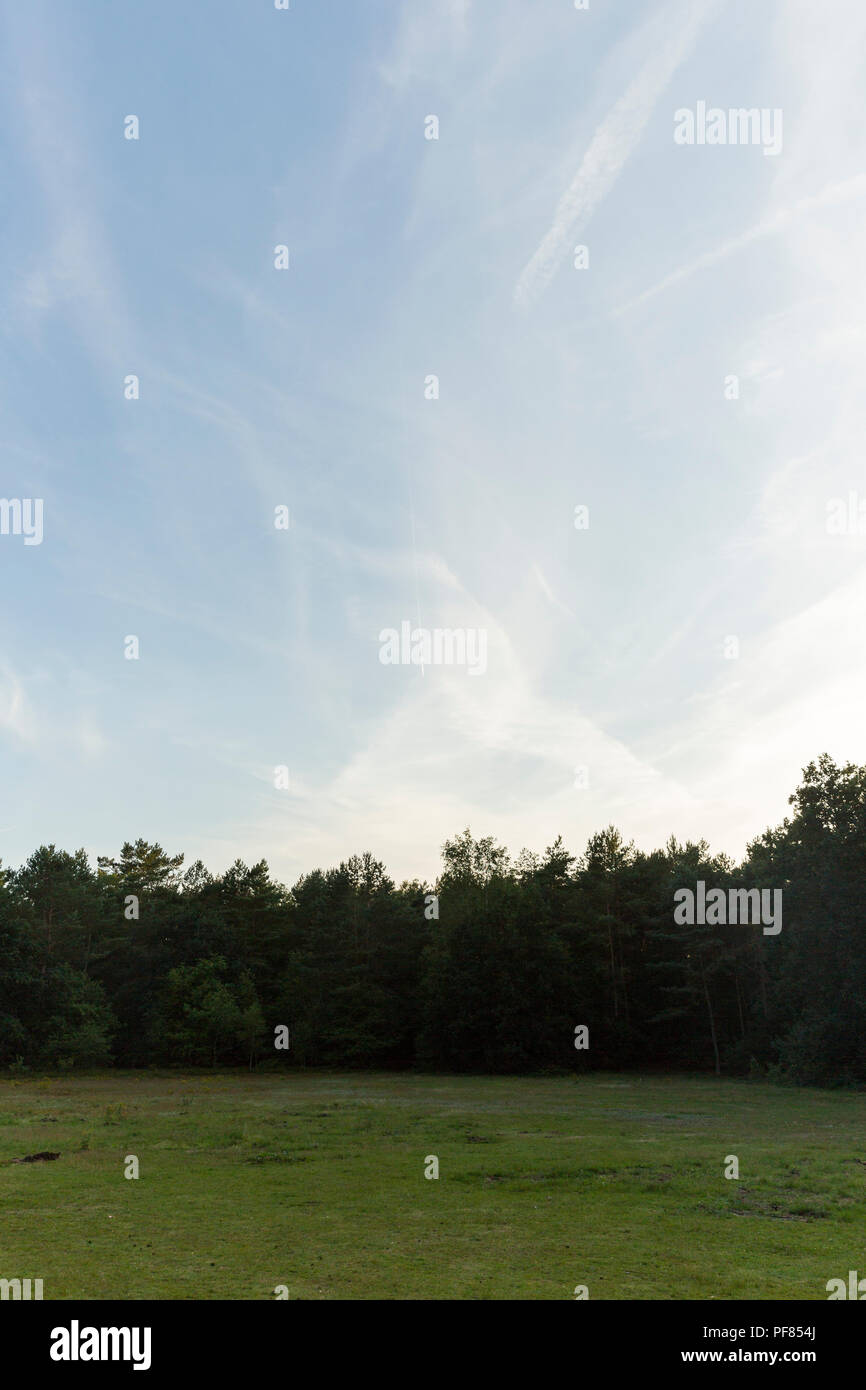 Opening to sunny scene hi-res stock photography and images - Alamy