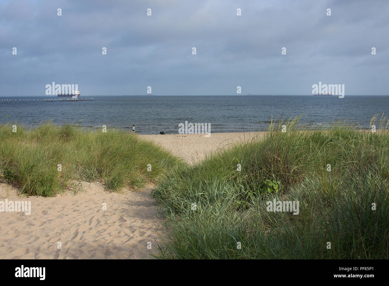 View of the beach and the ocean at First Landing State Park, USA Stock ...