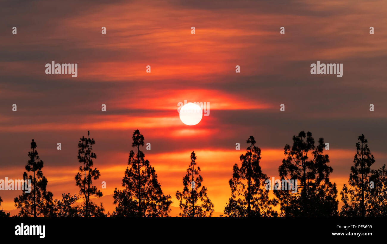 Fire red dawn sky forest hi-res stock photography and images - Alamy
